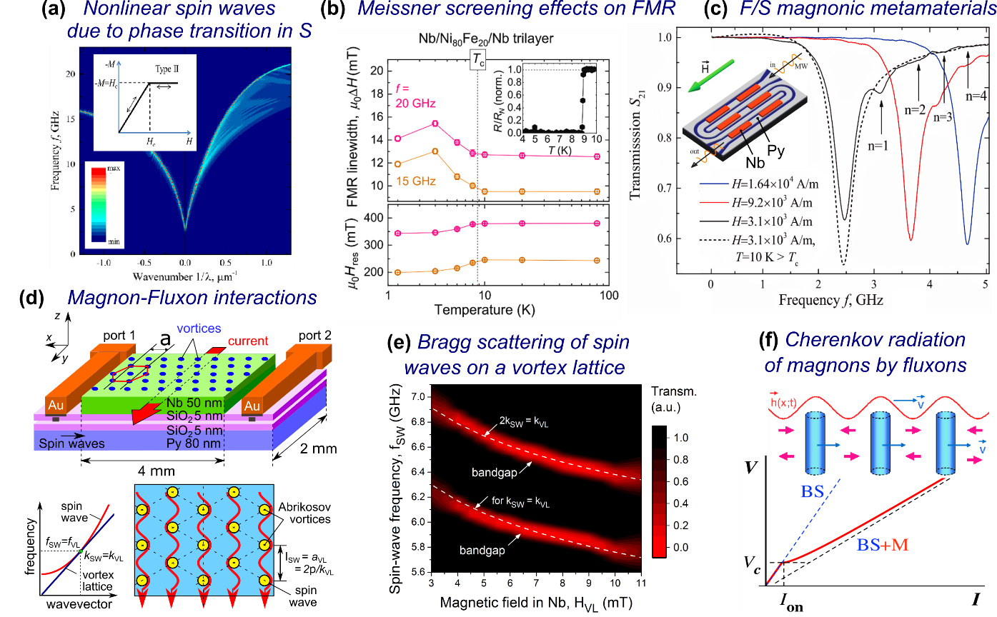 FluMag: Fluxons and Magnons in hybrid nanostuctures